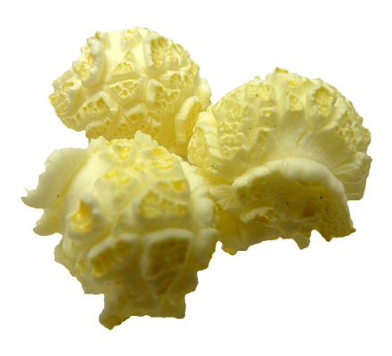 Caramel Popcorn Bag – The Popcorn Store